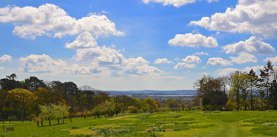 Funeral & Visitor Vehicles - Harbour View Woodland Burial Ground